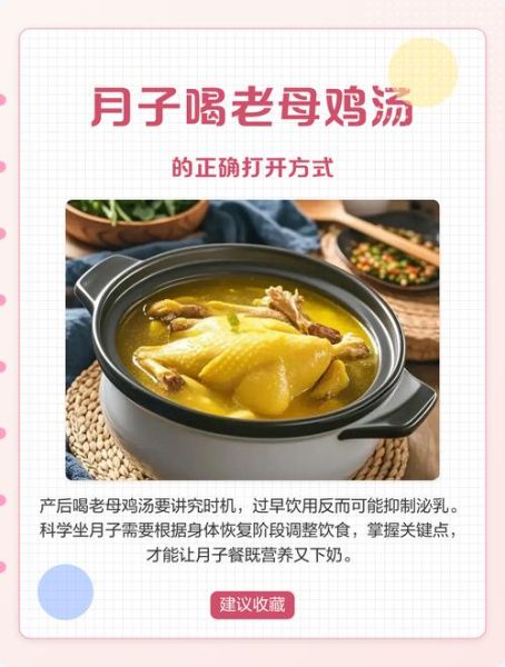 产妇鸡汤的做法大全_坐月子喝什么鸡汤最补-第2张图片-山城妙识
