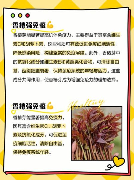 香椿芽的营养价值_香椿芽的功效与作用-第3张图片-山城妙识
