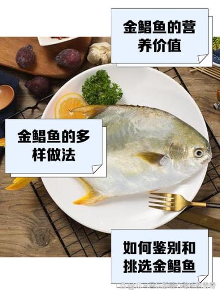 金鲳鱼多少钱一斤_2024年最新行情-第3张图片-山城妙识 金鲳鱼多少钱一斤_2024年最新行情-第3张图片-山城妙识