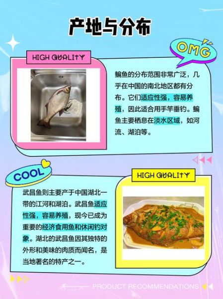 武昌鱼和鳊鱼是一个品种吗_武昌鱼和鳊鱼的区别-第1张图片-山城妙识 武昌鱼和鳊鱼是一个品种吗_武昌鱼和鳊鱼的区别-第1张图片-山城妙识