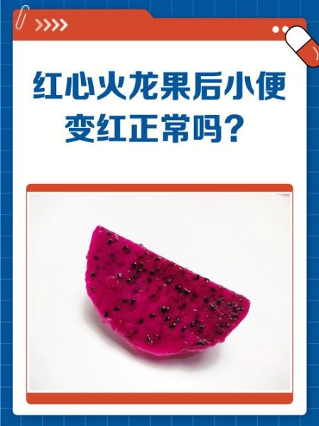 吃红心火龙果后拉稀正常吗_红心火龙果腹泻多久能好-第1张图片-山城妙识 吃红心火龙果后拉稀正常吗_红心火龙果腹泻多久能好-第1张图片-山城妙识