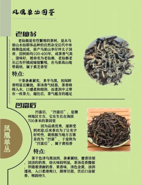 凤凰单丛茶多少钱一斤_为什么价格差异大-第3张图片-山城妙识 凤凰单丛茶多少钱一斤_为什么价格差异大-第3张图片-山城妙识