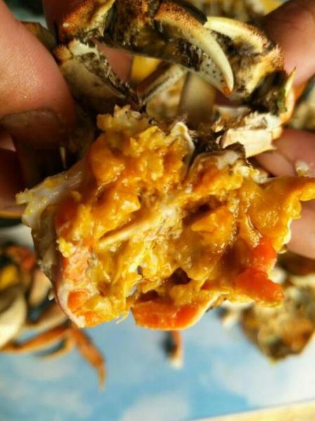 盘锦河蟹多少钱一斤_2024盘锦河蟹价格行情-第3张图片-山城妙识 盘锦河蟹多少钱一斤_2024盘锦河蟹价格行情-第3张图片-山城妙识