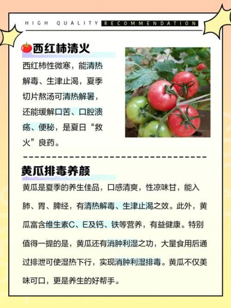 降火的蔬菜有哪些_怎么吃最有效-第3张图片-山城妙识 降火的蔬菜有哪些_怎么吃最有效-第3张图片-山城妙识