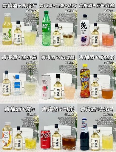 青梅酒兑什么饮料好喝_青梅酒调饮最佳配方-第1张图片-山城妙识