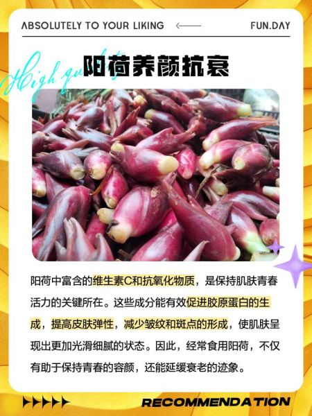 阳荷的功效与副作用有哪些_阳荷怎么吃最安全-第3张图片-山城妙识