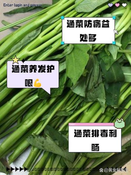 通菜的功效与作用_通菜怎么吃最营养-第3张图片-山城妙识 通菜的功效与作用_通菜怎么吃最营养-第3张图片-山城妙识
