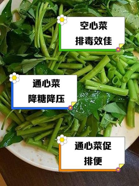 通菜的功效与作用_通菜怎么吃最营养-第2张图片-山城妙识 通菜的功效与作用_通菜怎么吃最营养-第2张图片-山城妙识