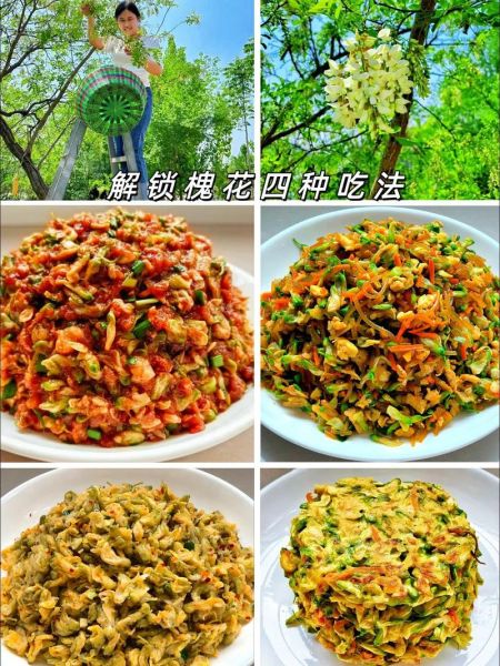槐花怎么吃_槐花做法大全-第2张图片-山城妙识 槐花怎么吃_槐花做法大全-第2张图片-山城妙识
