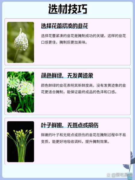 韭菜花怎么腌制_韭菜花腌制多久能吃-第1张图片-山城妙识 韭菜花怎么腌制_韭菜花腌制多久能吃-第1张图片-山城妙识