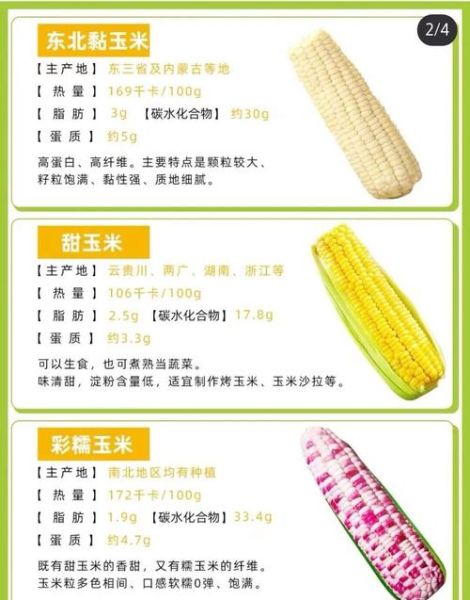 一根玉米的热量相当于多少米饭_减肥能吃玉米吗-第1张图片-山城妙识 一根玉米的热量相当于多少米饭_减肥能吃玉米吗-第1张图片-山城妙识