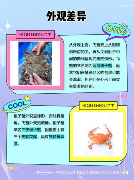 飞蟹和梭子蟹的区别图片_如何一眼分辨-第1张图片-山城妙识