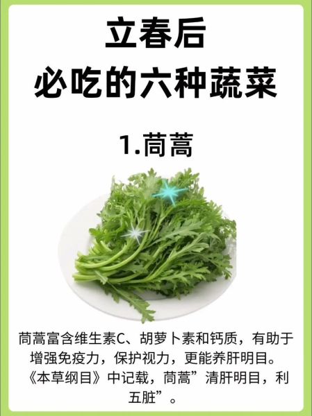 立春吃什么菜_春季养生蔬菜推荐-第1张图片-山城妙识 立春吃什么菜_春季养生蔬菜推荐-第1张图片-山城妙识