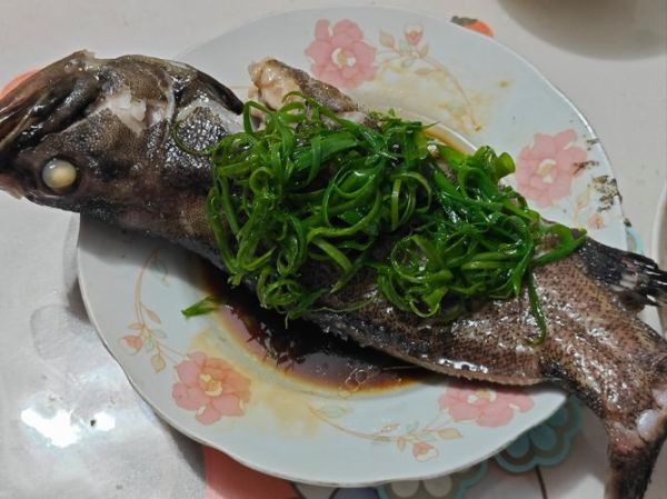 石斑鱼图片大全_高清石斑鱼图片怎么拍-第3张图片-山城妙识