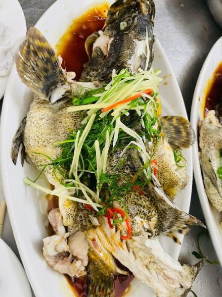 石斑鱼图片大全_高清石斑鱼图片怎么拍-第1张图片-山城妙识