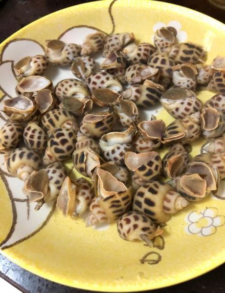 花螺怎么清洗_花螺煮多久才熟-第3张图片-山城妙识 花螺怎么清洗_花螺煮多久才熟-第3张图片-山城妙识
