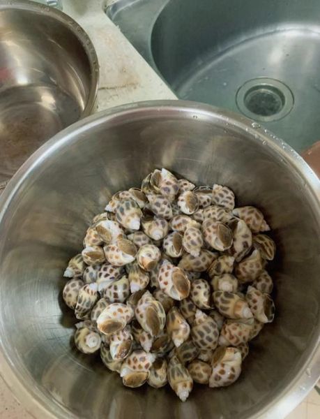 花螺怎么清洗_花螺煮多久才熟-第2张图片-山城妙识 花螺怎么清洗_花螺煮多久才熟-第2张图片-山城妙识