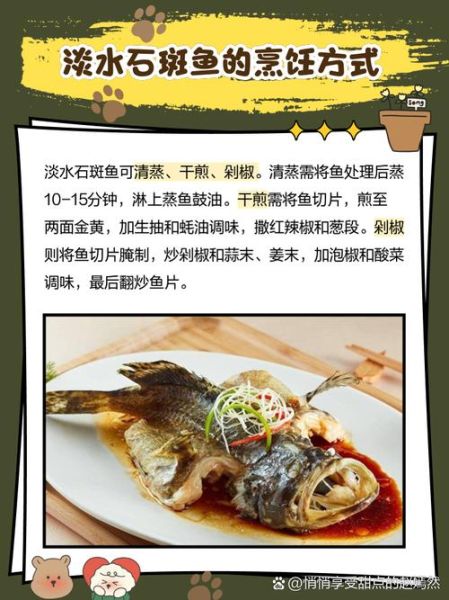淡水石斑鱼用什么饵料_淡水石斑鱼饵料配方-第2张图片-山城妙识 淡水石斑鱼用什么饵料_淡水石斑鱼饵料配方-第2张图片-山城妙识