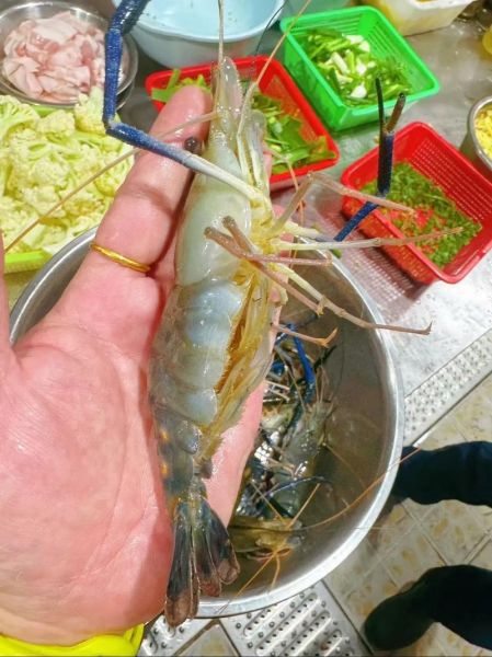 大头虾怎么做好吃_大头虾的营养价值-第2张图片-山城妙识 大头虾怎么做好吃_大头虾的营养价值-第2张图片-山城妙识