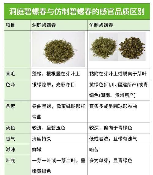 碧螺春图片真假辨别_如何挑选正宗碧螺春-第1张图片-山城妙识