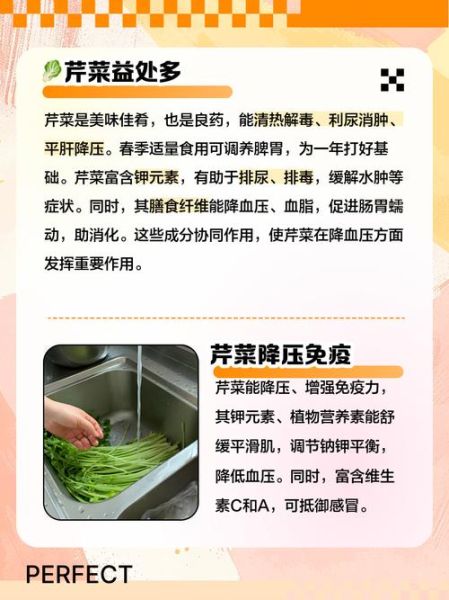 芹菜能降血压吗_芹菜降血压是真的吗-第1张图片-山城妙识 芹菜能降血压吗_芹菜降血压是真的吗-第1张图片-山城妙识