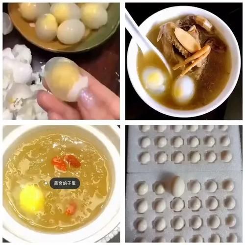 鸽子蛋炖燕窝怎么做_鸽子蛋炖燕窝的功效与禁忌-第2张图片-山城妙识
