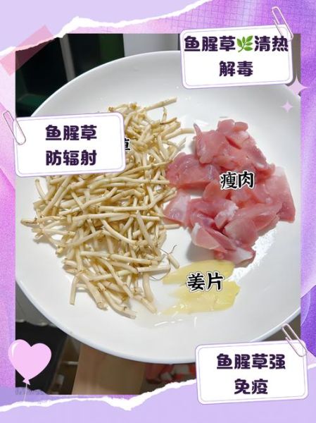 鱼腥草煮水能天天喝吗_鱼腥草煮水的功效与作用-第2张图片-山城妙识