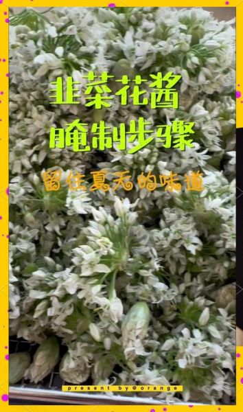 韭菜花怎么腌制_韭菜花腌制配方-第1张图片-山城妙识 韭菜花怎么腌制_韭菜花腌制配方-第1张图片-山城妙识