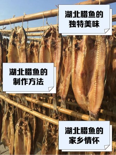 蜡鱼是什么鱼_蜡鱼怎么做好吃-第1张图片-山城妙识 蜡鱼是什么鱼_蜡鱼怎么做好吃-第1张图片-山城妙识
