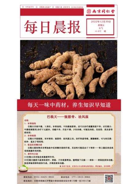 巴戟天泡酒配方大全_巴戟天泡酒多久能喝-第1张图片-山城妙识 巴戟天泡酒配方大全_巴戟天泡酒多久能喝-第1张图片-山城妙识