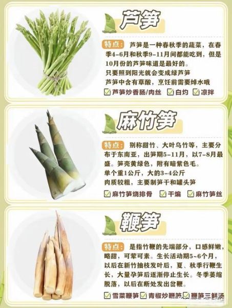 食用笋的种类有哪些_如何区分春笋冬笋-第2张图片-山城妙识 食用笋的种类有哪些_如何区分春笋冬笋-第2张图片-山城妙识