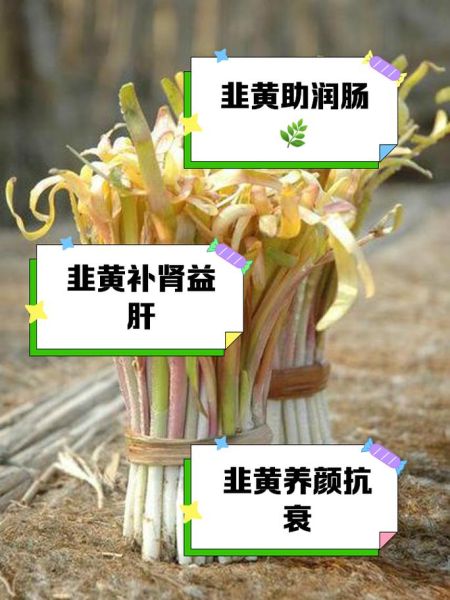 韭黄为什么不能多吃_医生提醒少吃韭黄的原因-第3张图片-山城妙识