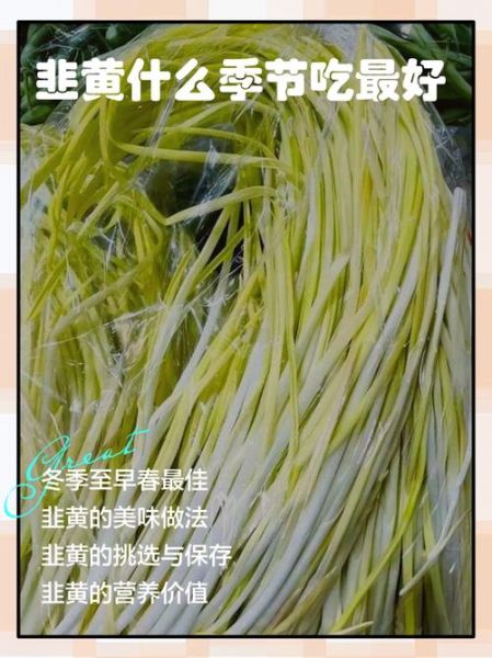 韭黄为什么不能多吃_医生提醒少吃韭黄的原因-第2张图片-山城妙识