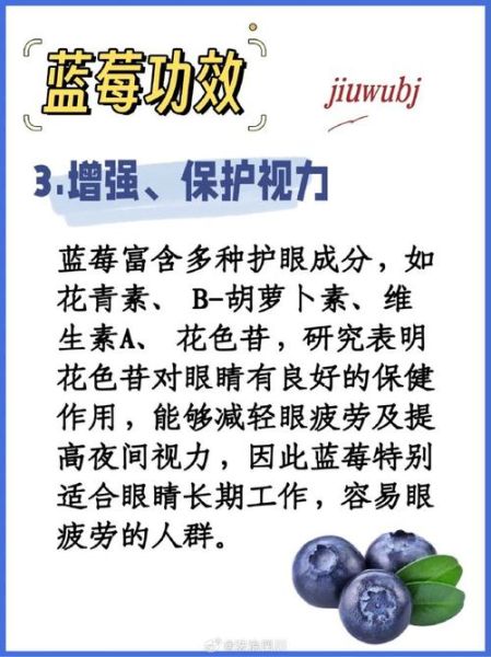 蓝莓的功效与作用及禁忌_什么人不能吃-第3张图片-山城妙识 蓝莓的功效与作用及禁忌_什么人不能吃-第3张图片-山城妙识