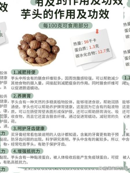 芋头怎么做好吃_芋头的功效与作用-第1张图片-山城妙识 芋头怎么做好吃_芋头的功效与作用-第1张图片-山城妙识