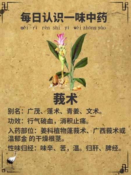 莪术的功效与作用及禁忌_莪术能长期服用吗-第2张图片-山城妙识