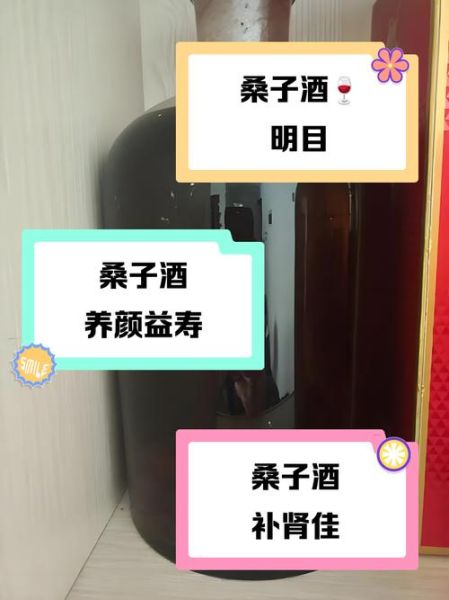 桑子酒的功效与作用_桑子酒能天天喝吗-第2张图片-山城妙识 桑子酒的功效与作用_桑子酒能天天喝吗-第2张图片-山城妙识