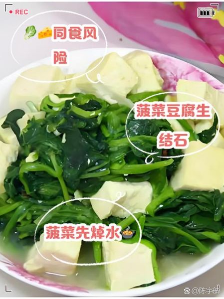 菠菜豆腐一起吃会中毒吗_菠菜豆腐相克真相-第1张图片-山城妙识