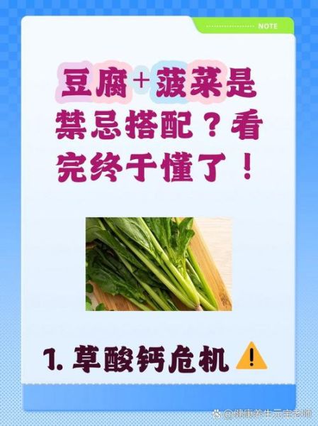 菠菜豆腐一起吃会中毒吗_菠菜豆腐相克真相-第3张图片-山城妙识