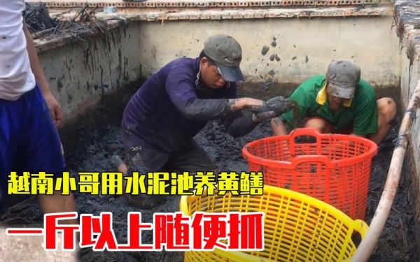 水泥池养黄鳝怎么建_黄鳝水泥池养殖技术要点-第1张图片-山城妙识 水泥池养黄鳝怎么建_黄鳝水泥池养殖技术要点-第1张图片-山城妙识