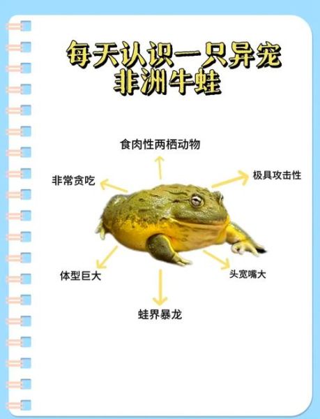 牛蛙养殖周期为多少_牛蛙养殖周期多久出栏-第1张图片-山城妙识