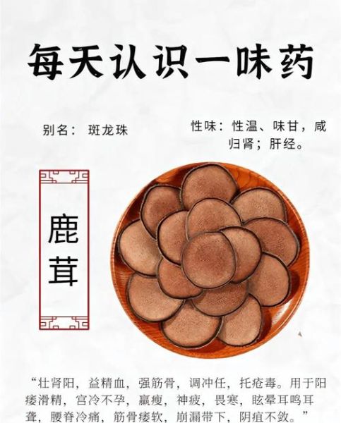 鹿茸有什么功效_鹿茸怎么吃效果最好-第1张图片-山城妙识 鹿茸有什么功效_鹿茸怎么吃效果最好-第1张图片-山城妙识