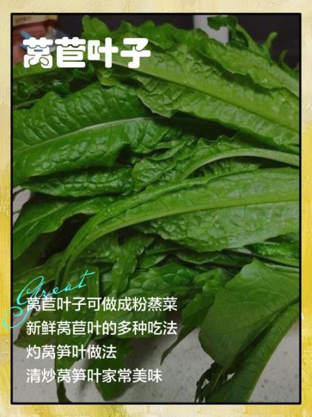 莴苣叶怎么吃最好吃_莴苣叶的做法大全-第1张图片-山城妙识 莴苣叶怎么吃最好吃_莴苣叶的做法大全-第1张图片-山城妙识