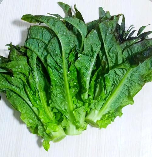 莴苣叶怎么吃最好吃_莴苣叶的做法大全-第3张图片-山城妙识 莴苣叶怎么吃最好吃_莴苣叶的做法大全-第3张图片-山城妙识