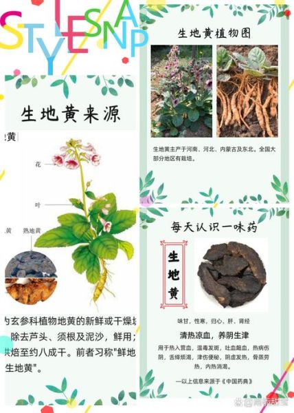 生地黄的功效与作用及食用方法_生地黄怎么吃最好-第2张图片-山城妙识 生地黄的功效与作用及食用方法_生地黄怎么吃最好-第2张图片-山城妙识