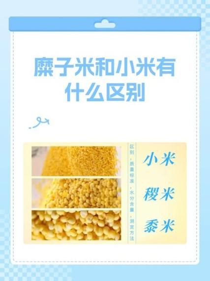 黍米是什么_黍米和小米的区别-第1张图片-山城妙识 黍米是什么_黍米和小米的区别-第1张图片-山城妙识