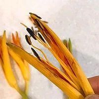 金针花怎么做好吃_金针花家常做法-第1张图片-山城妙识 金针花怎么做好吃_金针花家常做法-第1张图片-山城妙识