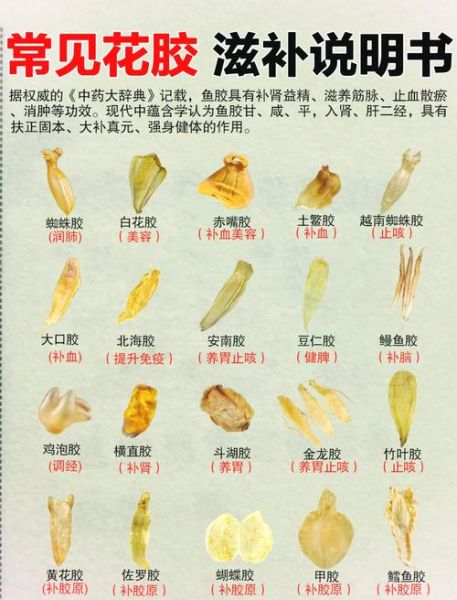 鱼鳔怎么读_鱼鳔的功效与作用-第1张图片-山城妙识 鱼鳔怎么读_鱼鳔的功效与作用-第1张图片-山城妙识