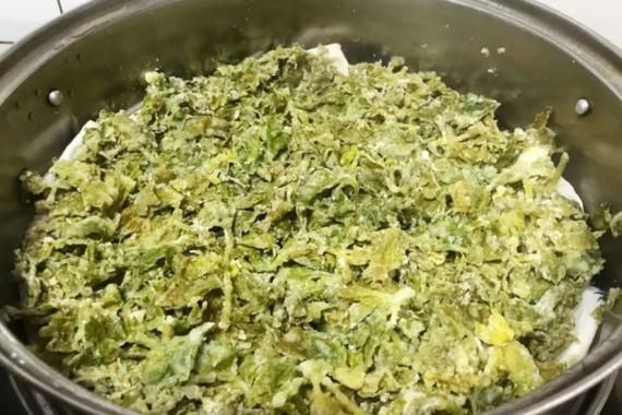 蒸槐花怎么蒸_蒸槐花需要焯水吗-第3张图片-山城妙识 蒸槐花怎么蒸_蒸槐花需要焯水吗-第3张图片-山城妙识