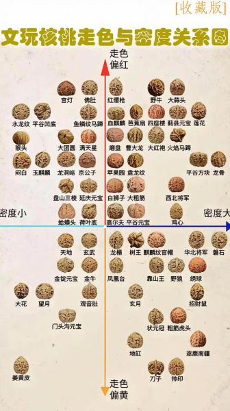 盘核桃有什么好处_盘核桃的功效与作用-第1张图片-山城妙识 盘核桃有什么好处_盘核桃的功效与作用-第1张图片-山城妙识